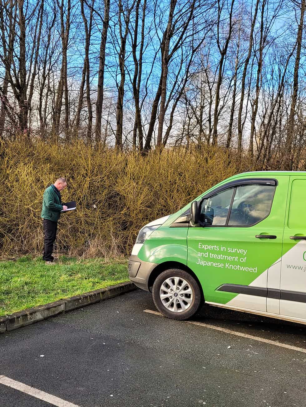 How to Choose the Right Treatment Method for Your Japanese Knotweed ...